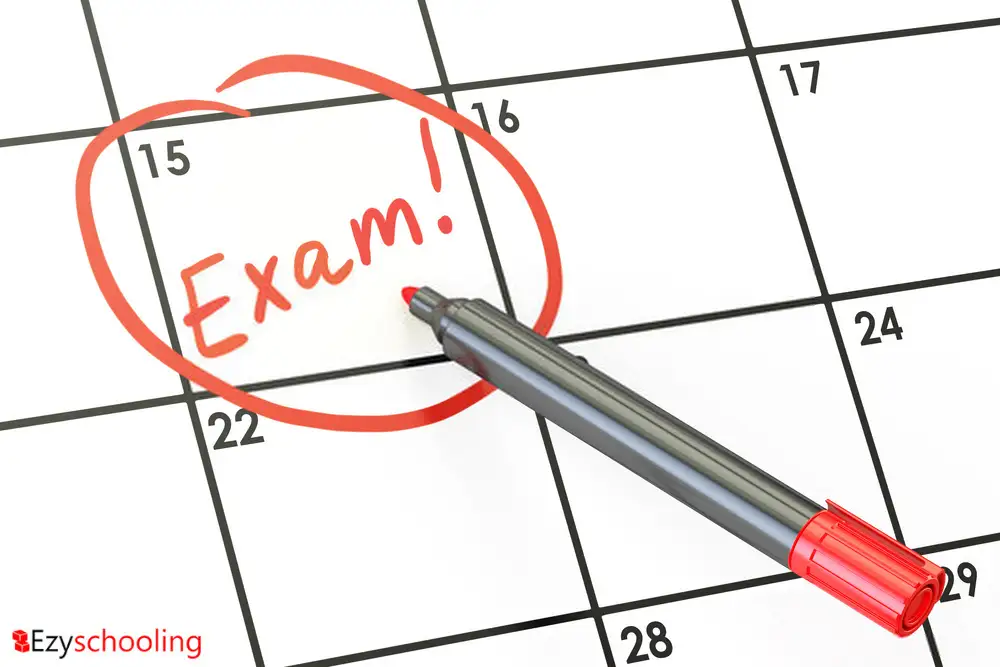 CBSE Announces Date Sheet for Minor Subjects for Classes 10 and 12