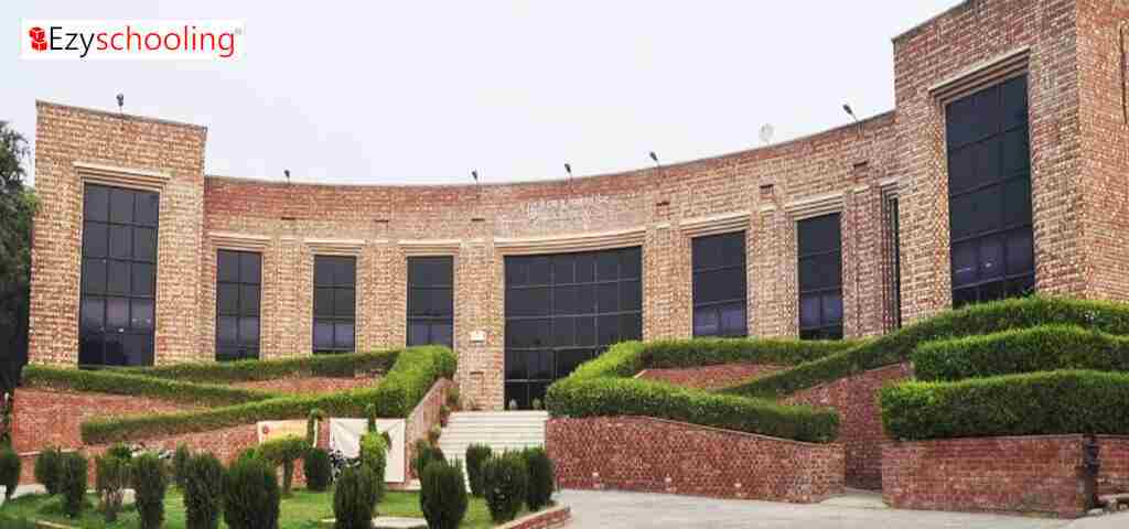JNU professor named in Highly Cited Researchers 2020 list