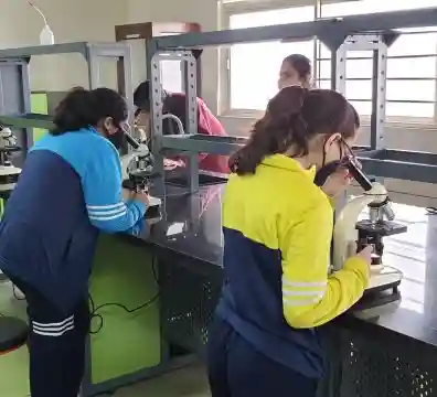 Manav Rachna International School (MRIS), Sector 14 Photos