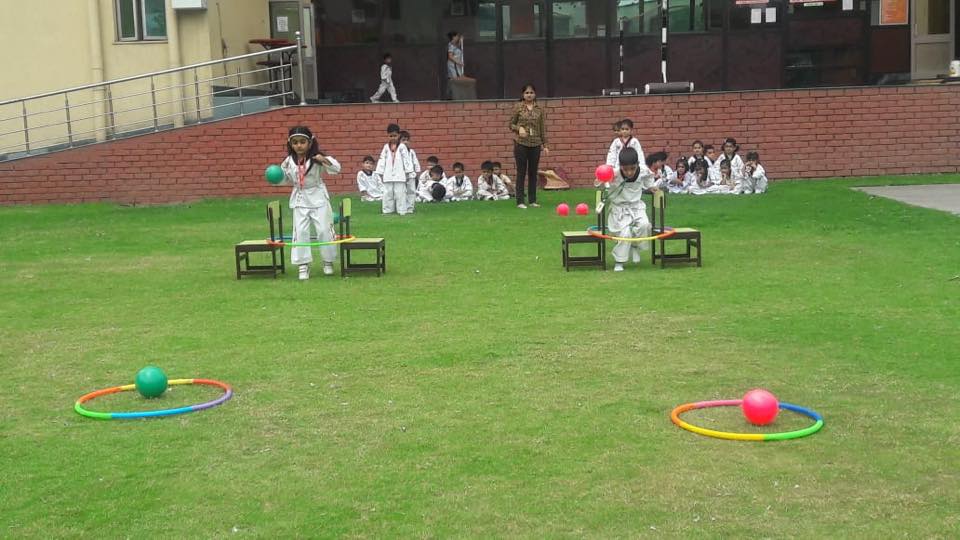 De Indian Public School (DIPS), Sector 24,Rohini Photos