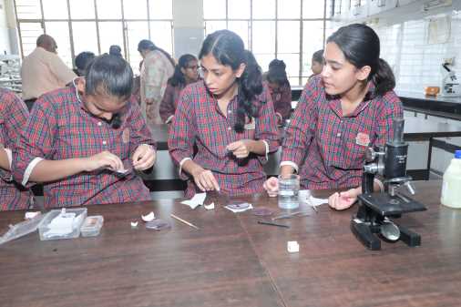 Veda Vyasa DAV Public School, Vikas Puri Photos