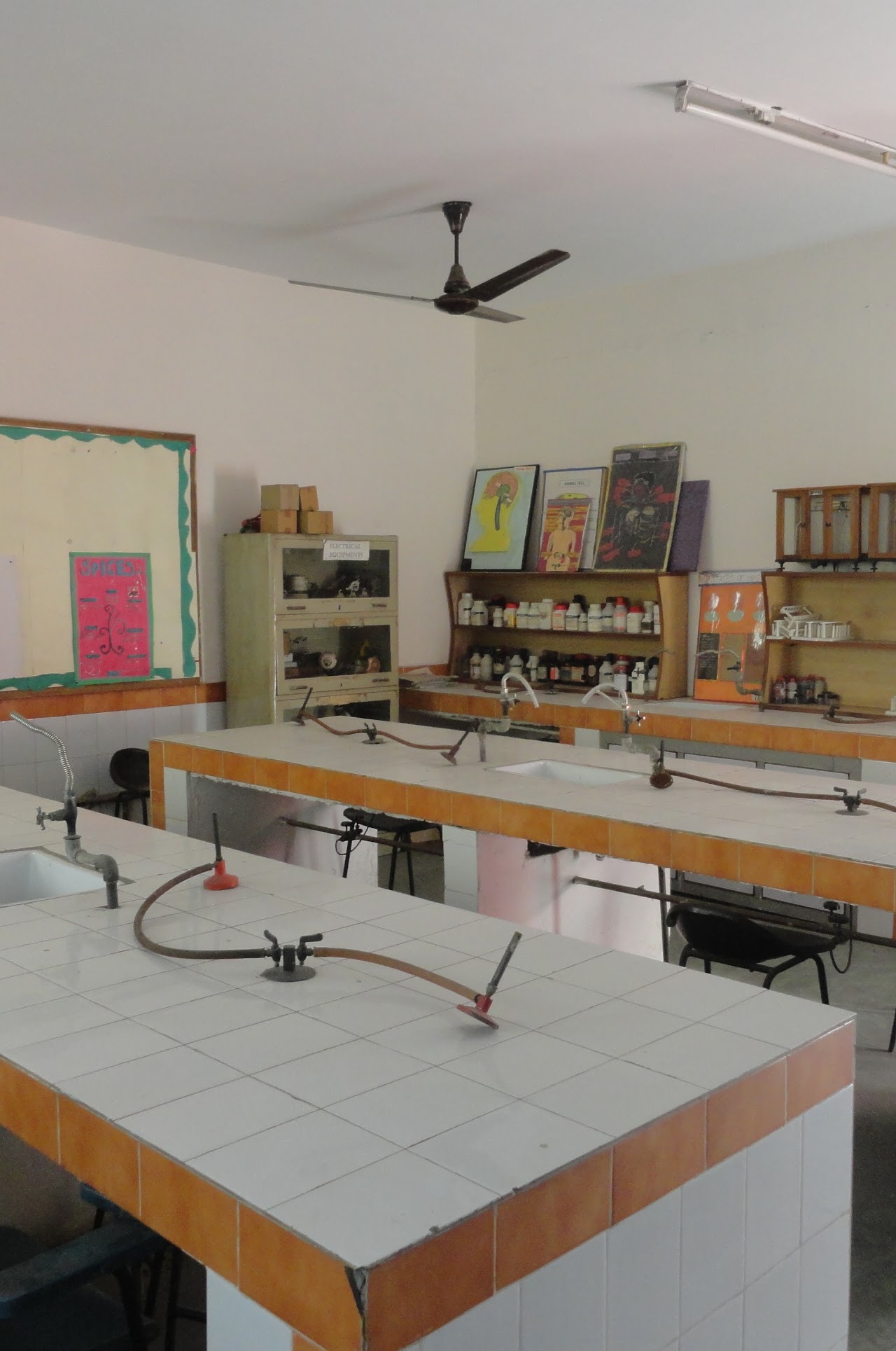 Shiv Modern Sr. Sec. School (SMSSS), Paschim Vihar Photos