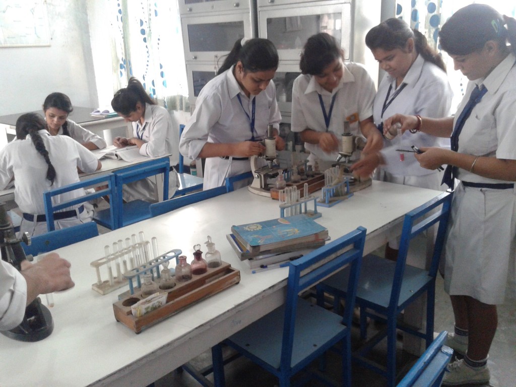 Diwakar Model School (DMS), Sahibabad Photos