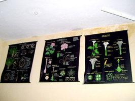 Convent of Jesus and Mary (CJM), Dehradun Photos