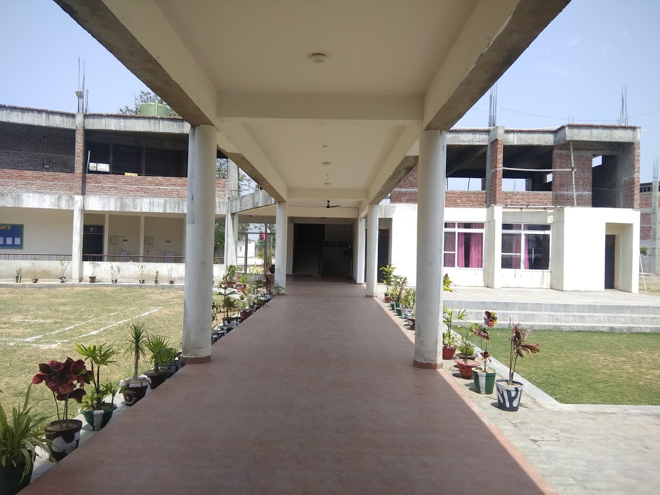The Mahabodhi Tree, Gaya