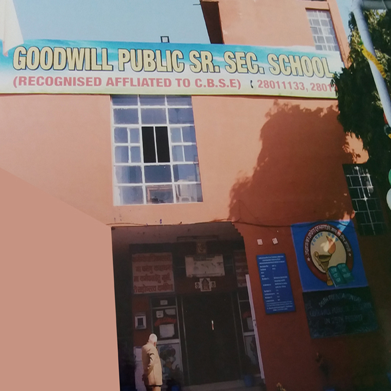 GoodWill Public School, Delhi Fees Structure