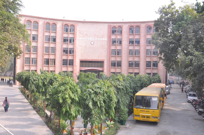 Angels Public School (APSV), Delhi Fees Structure