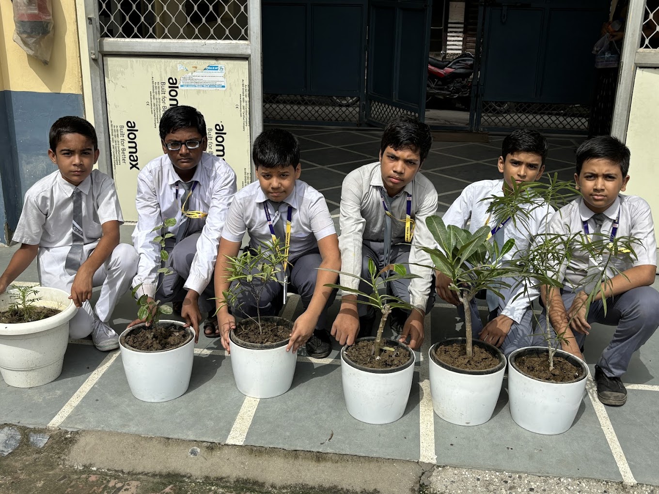 New Krishna Model Public School, Jafarpur Photos