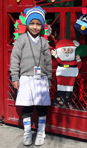 Ojas Public School, Sector 17,Rohini Photos