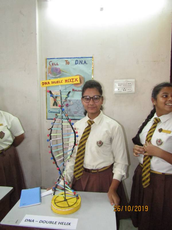 Julien Day School, Bhowanipore Photos
