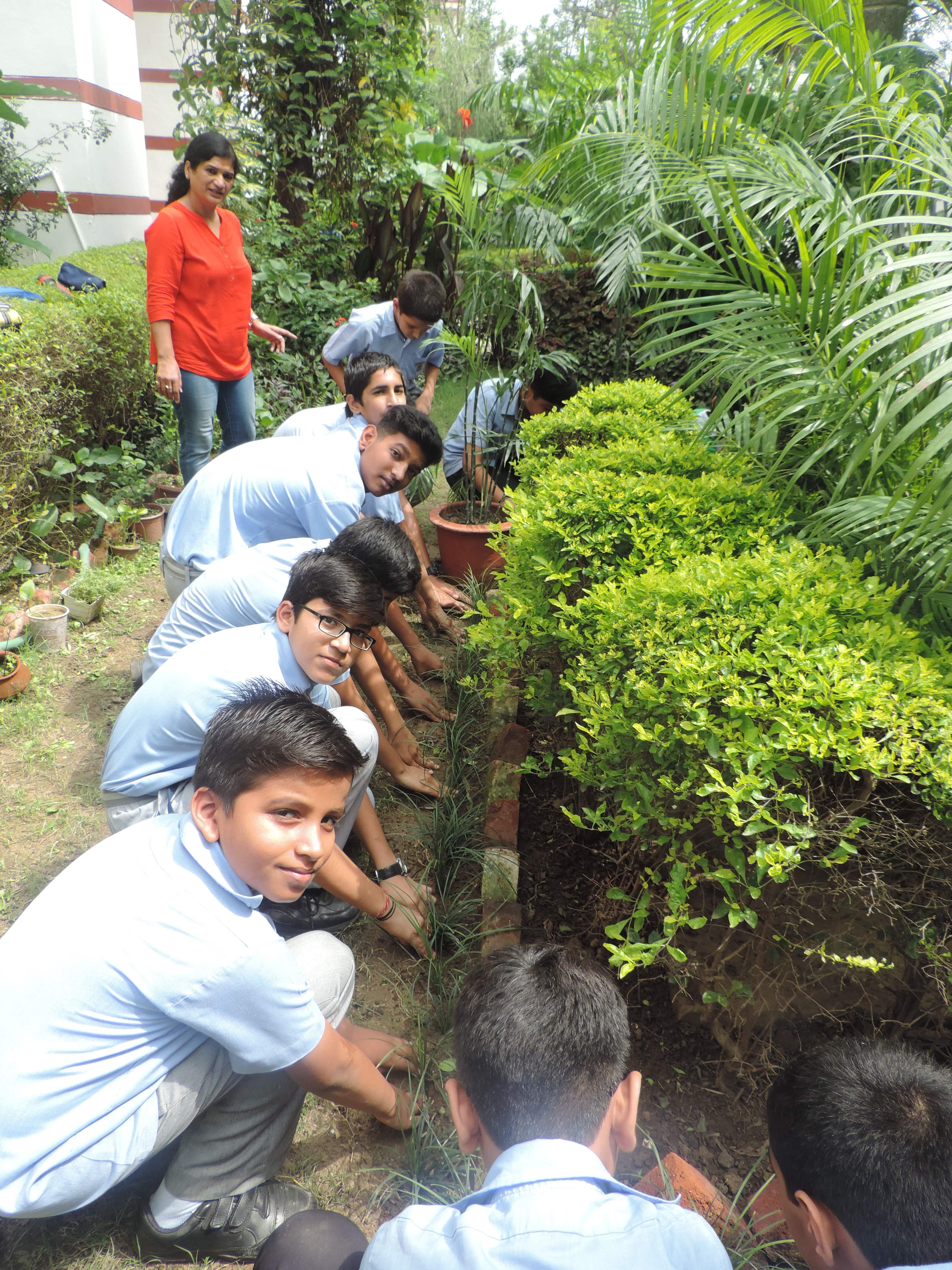 Summer Fields School, DLF Phase I Photos