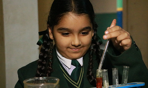 Delhi Scholars International School (DSIS), Greater Faridabad Photos