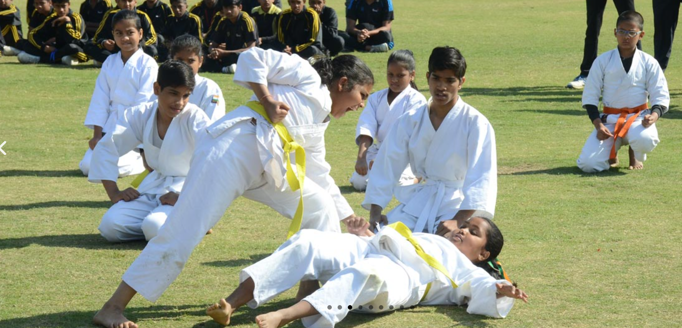 La Sagesse Academy, Rau Photos