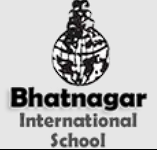 Bhatnagar International School (BISS), Delhi Fees Structure