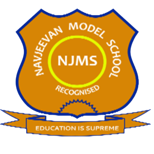 Navjeevan Model Public School, Delhi Fees Structure