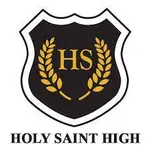 Holy Saint High School Jayanagar, Bangalore